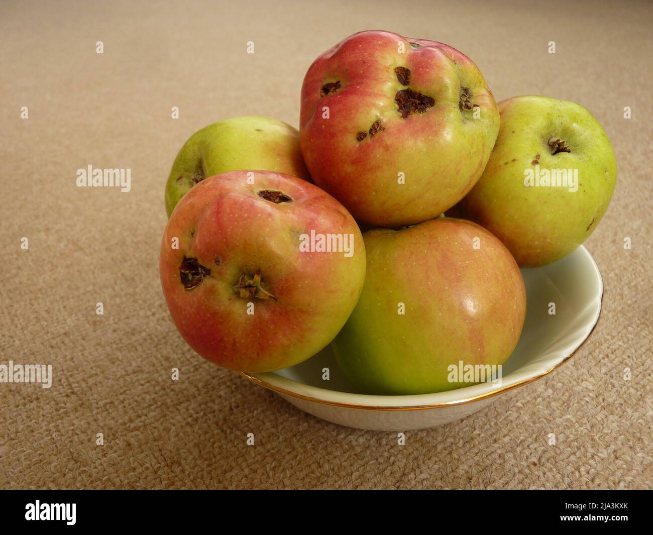 Rotten harvest hi-res stock photography and images - Alamy