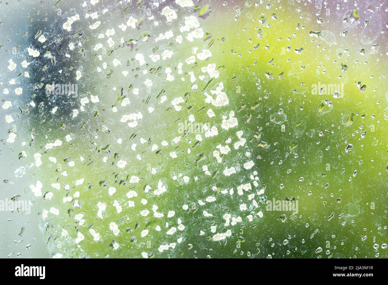 wet rain drops on windows Stock Photo - Alamy
