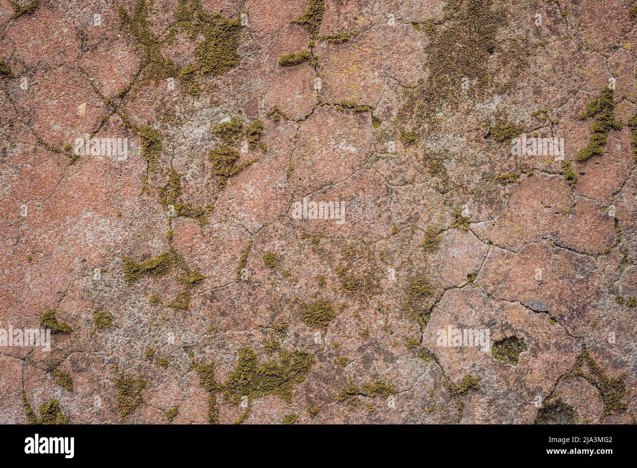 Dirt Wall Background.Cement wall background.Moss old cement wall Stock ...