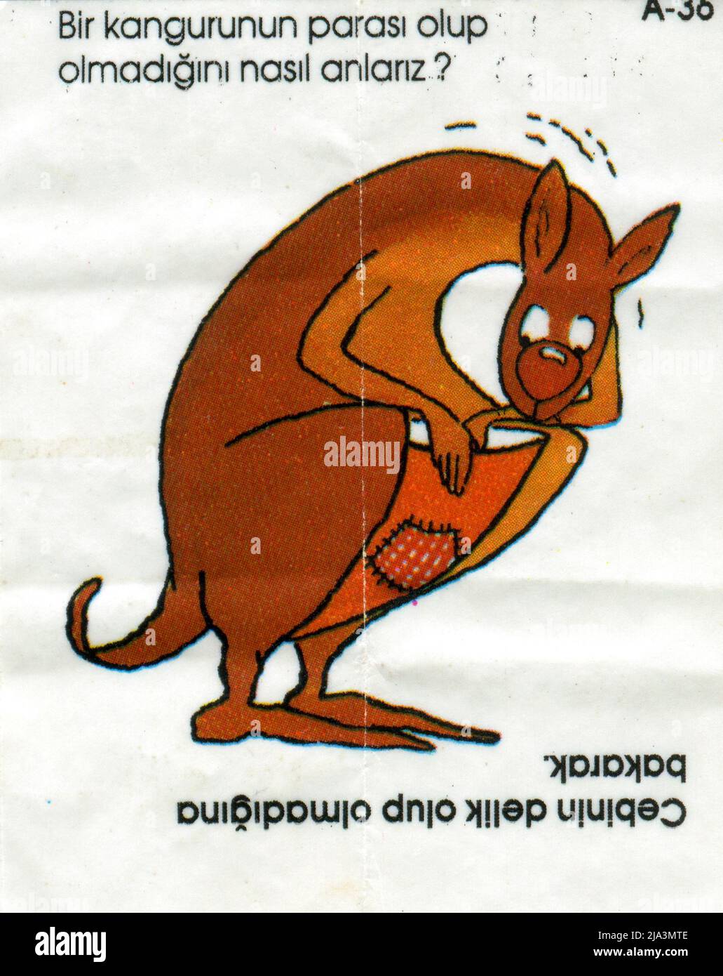 Bubble wrapped animal hi-res stock photography and images - Alamy