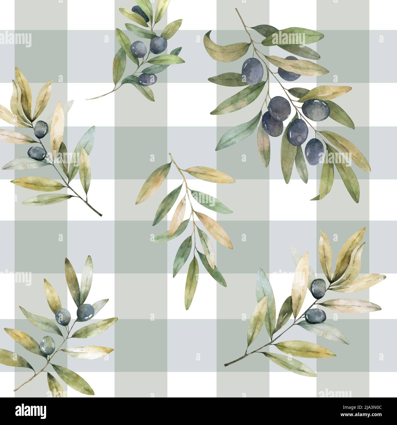 Watercolor olive seamless pattern. Hand drawn natural illustration ...