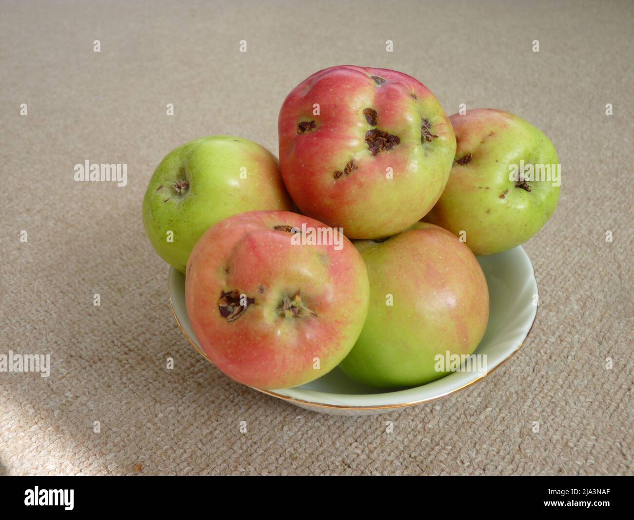 Rotten harvest hi-res stock photography and images - Alamy