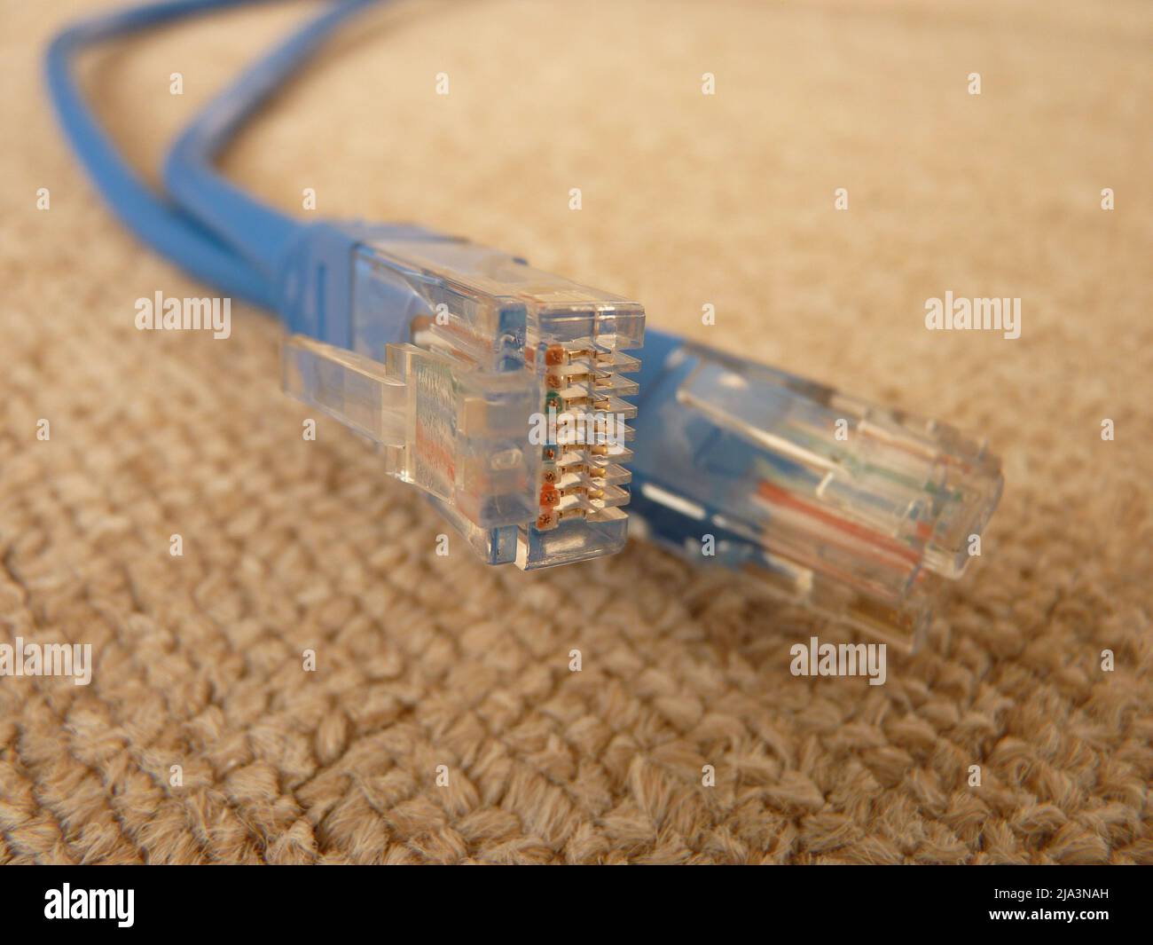 The front of the UTP LAN cable with sticker label connected line ...