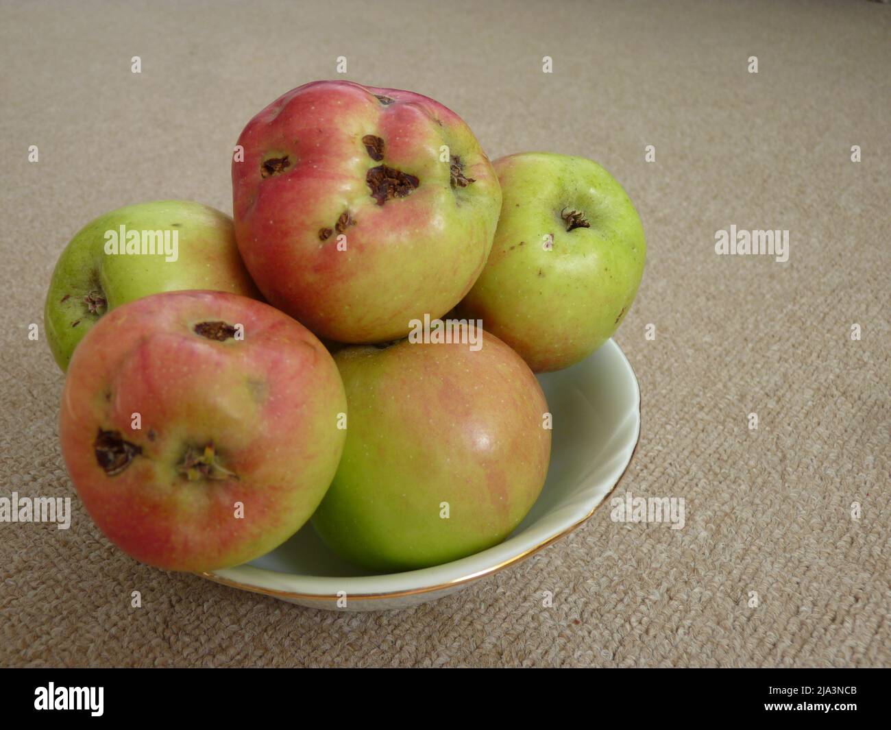 Rotten peach hi-res stock photography and images - Alamy