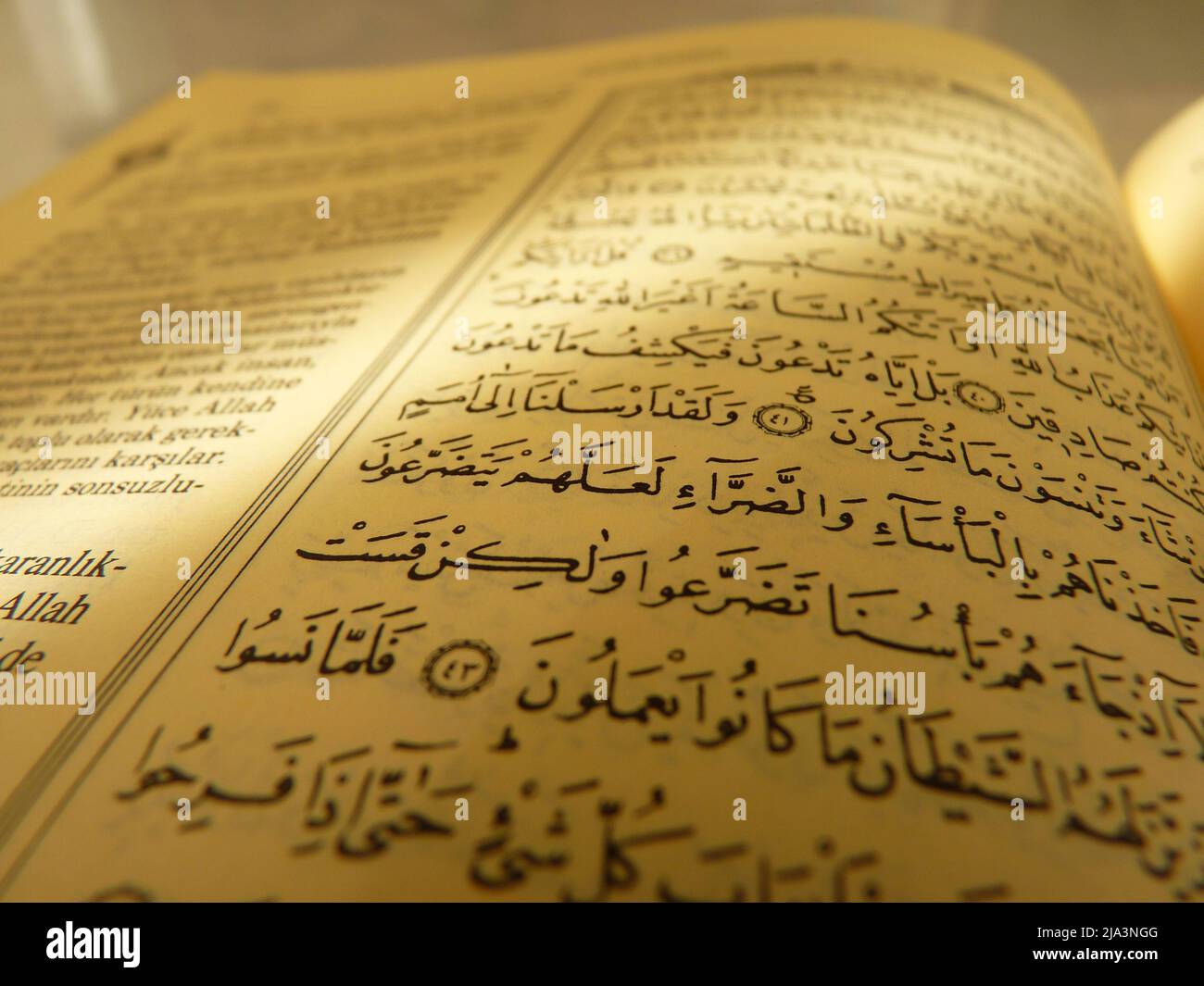 Close up photo of one of the pages of the Koran. The Koran is the holy ...