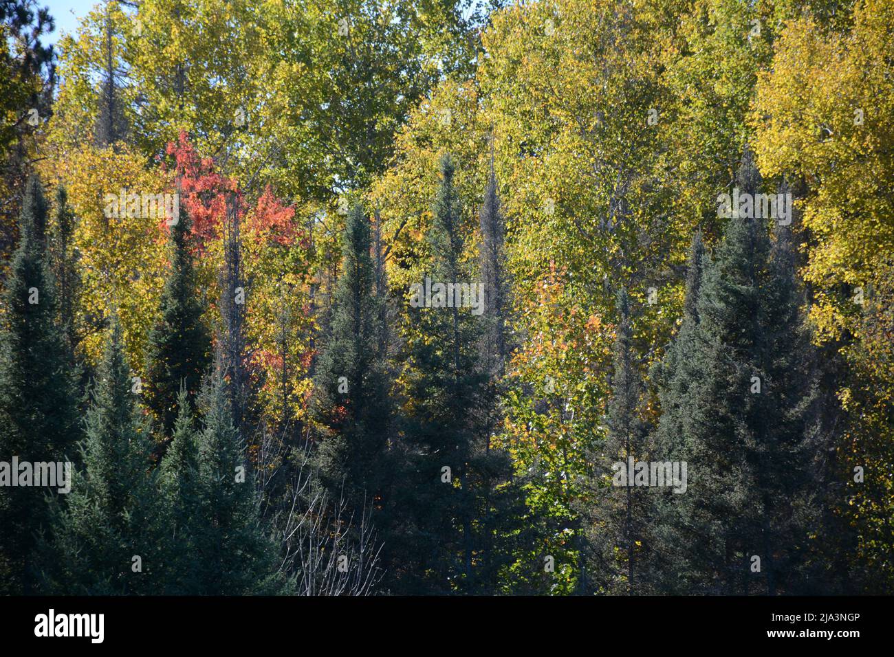 Rural scenes in the fall from Northern Ontario Stock Photo - Alamy
