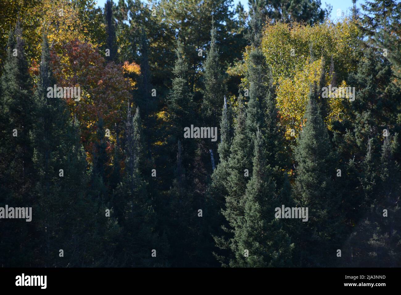 Rural scenes in the fall from Northern Ontario Stock Photo - Alamy