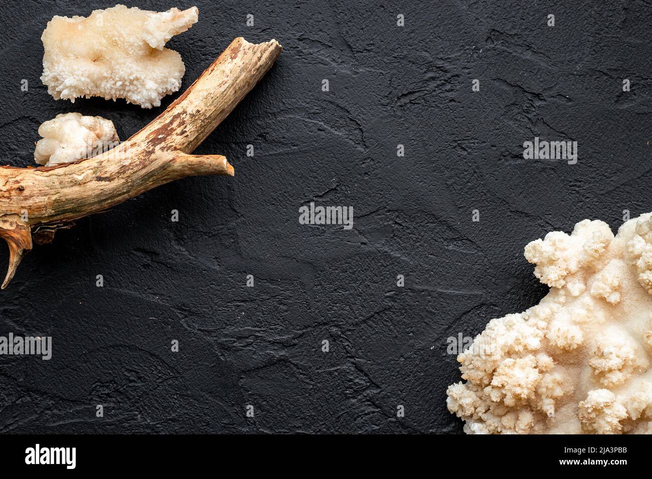 Natural mineral rock stones with snag tree branch Stock Photo - Alamy