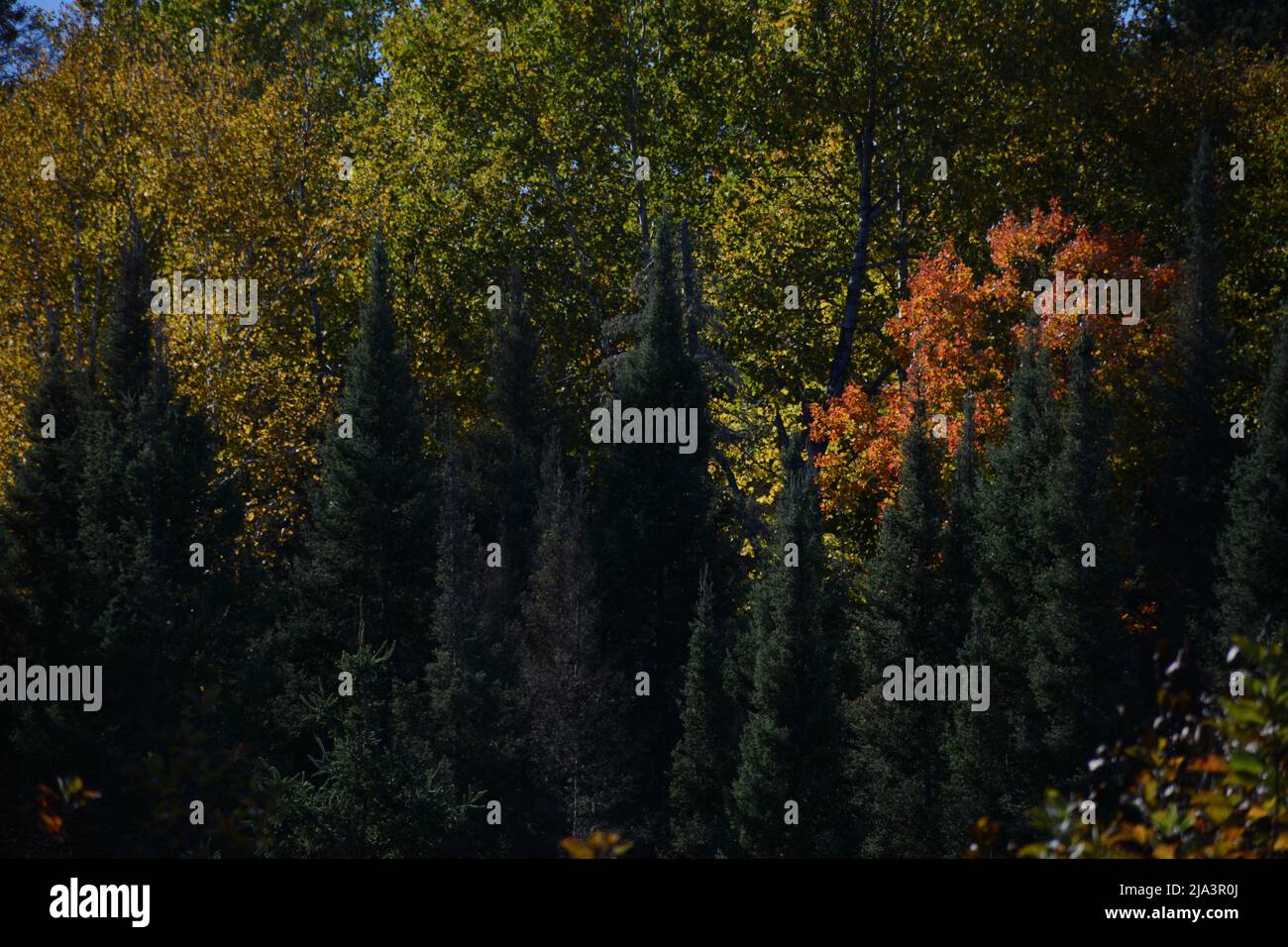 Rural scenes in the fall from Northern Ontario Stock Photo - Alamy