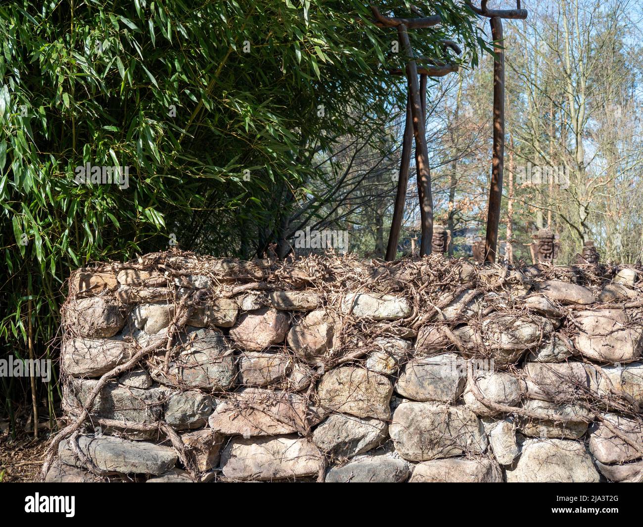 Old stone fence overgrown with loach Stock Photo - Alamy