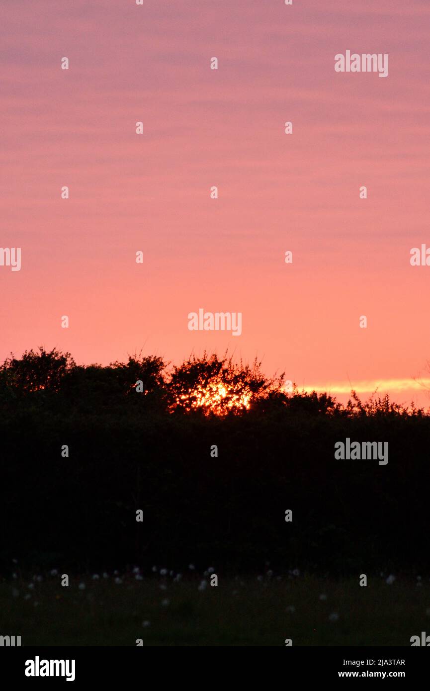 Sunset hi res hi-res stock photography and images - Alamy