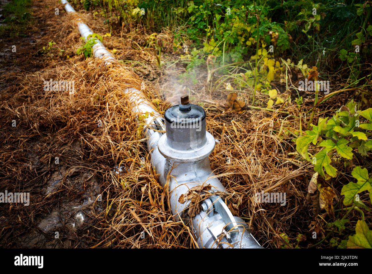 Agriculture irrigation pipes hi-res stock photography and images - Alamy