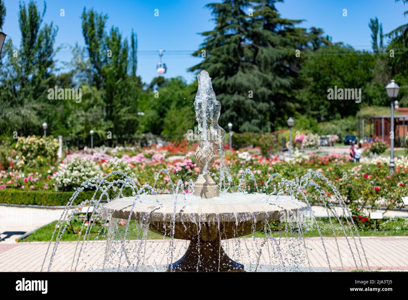 Fountain. Stone fountain filled with water with an explosion of spring ...