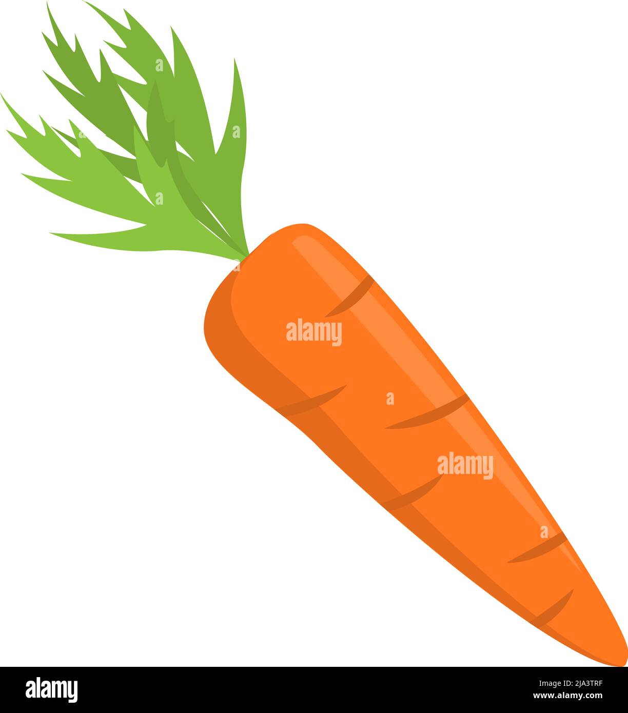 carrot with leaves isolated on white background, flat design vector ...