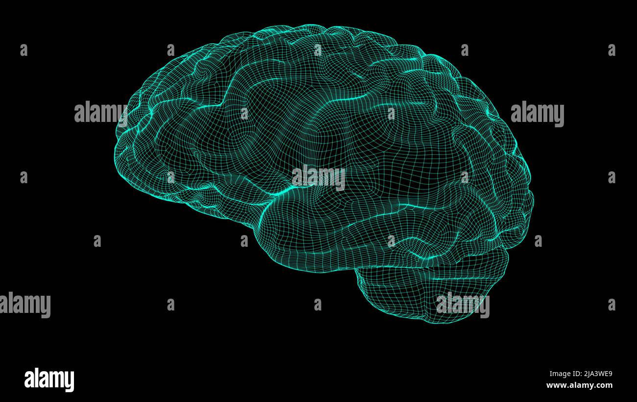Wireframe brain 3D Stock Photo - Alamy