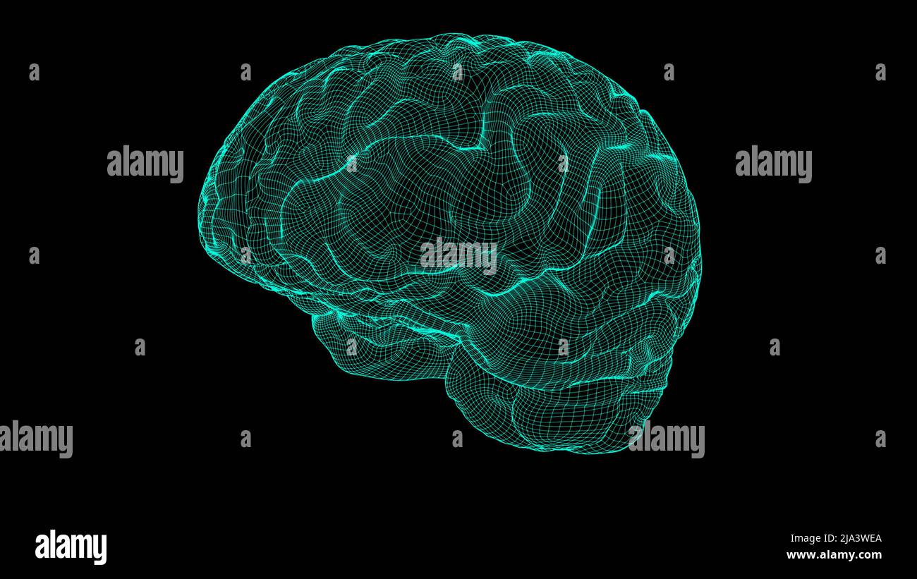 Wireframe brain 3D Stock Photo - Alamy