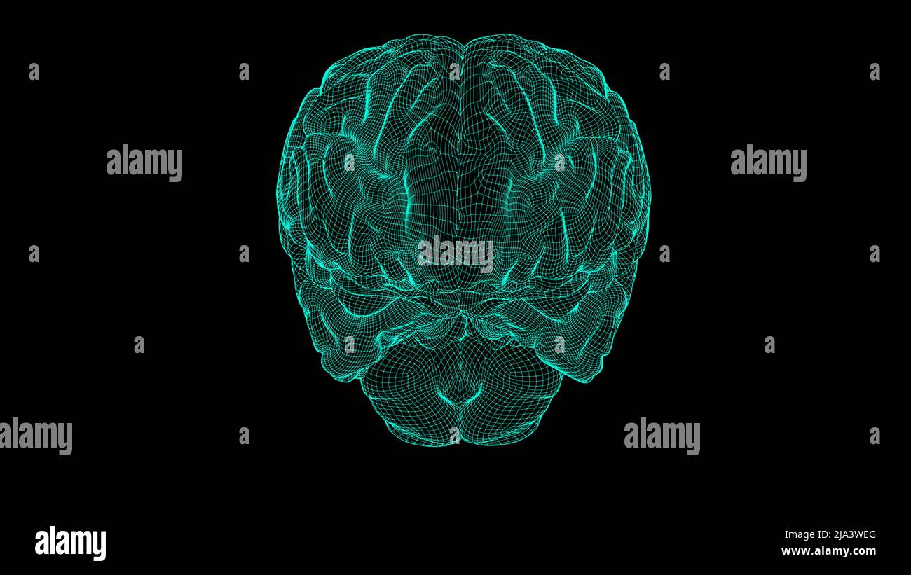 Wireframe brain 3D Stock Photo - Alamy