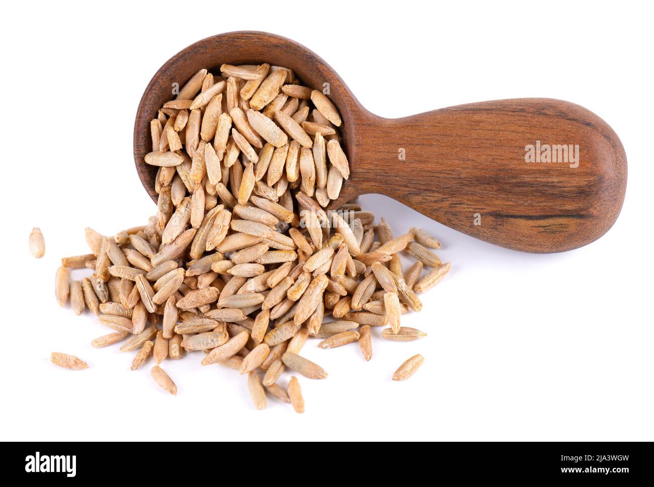 Rye grains isolated on white background. Pile of rye malt seeds in ...