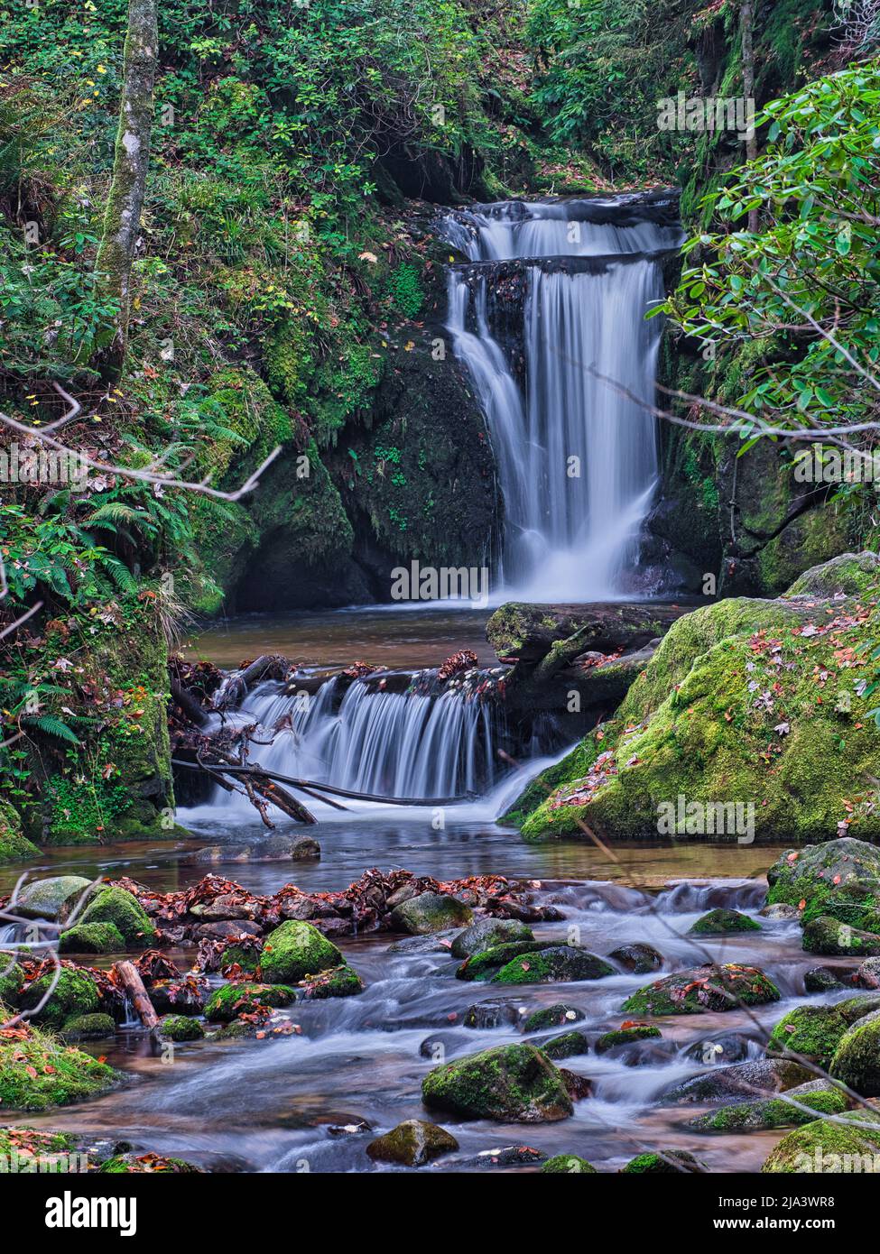 Geroldsau waterfalls in the black forest Stock Photo - Alamy