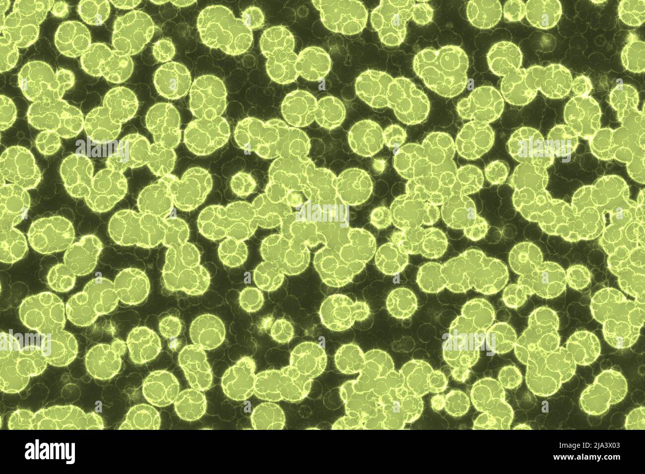 Fake microorganisms. microbiology. Bacteria, cells, viruses, germs ...