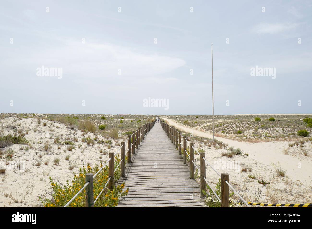 Armona Island, OLHAO, Algarve, Portugal : A boardwalk across sand dunes ...