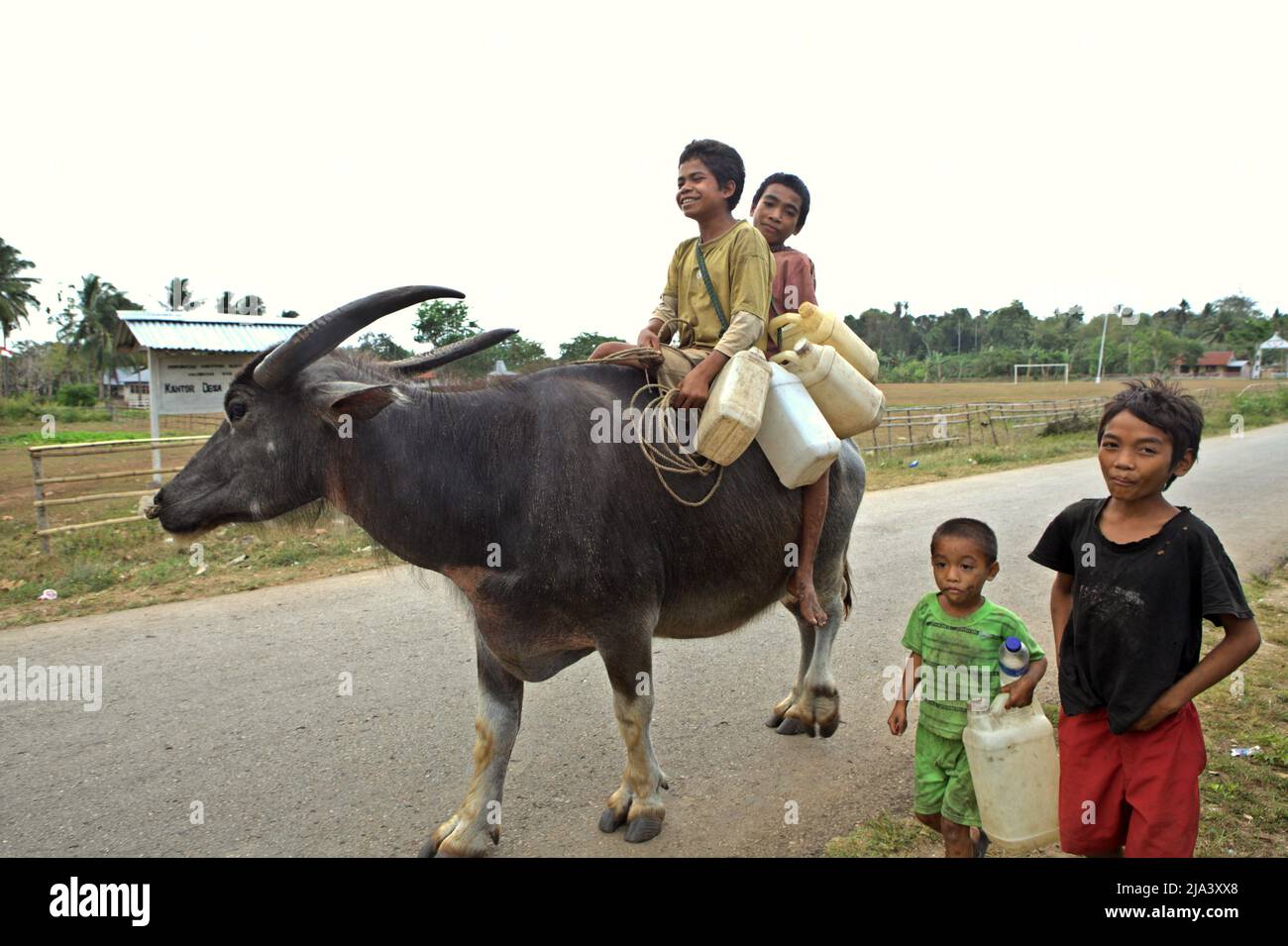 Children riding water buffalo hi-res stock photography and images - Alamy