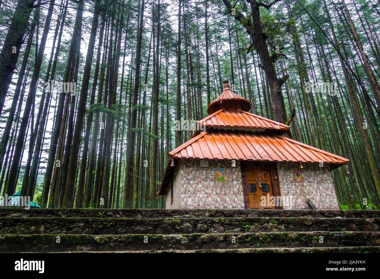 july 21st 2021 Uttarakhand. A beautiful temple amidst deodar forest ...