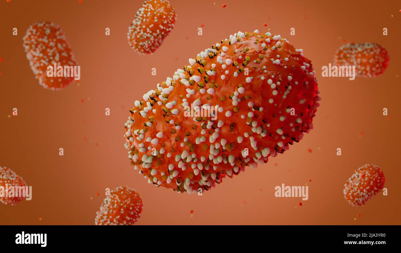 Monkeypox virus structure hi-res stock photography and images - Alamy