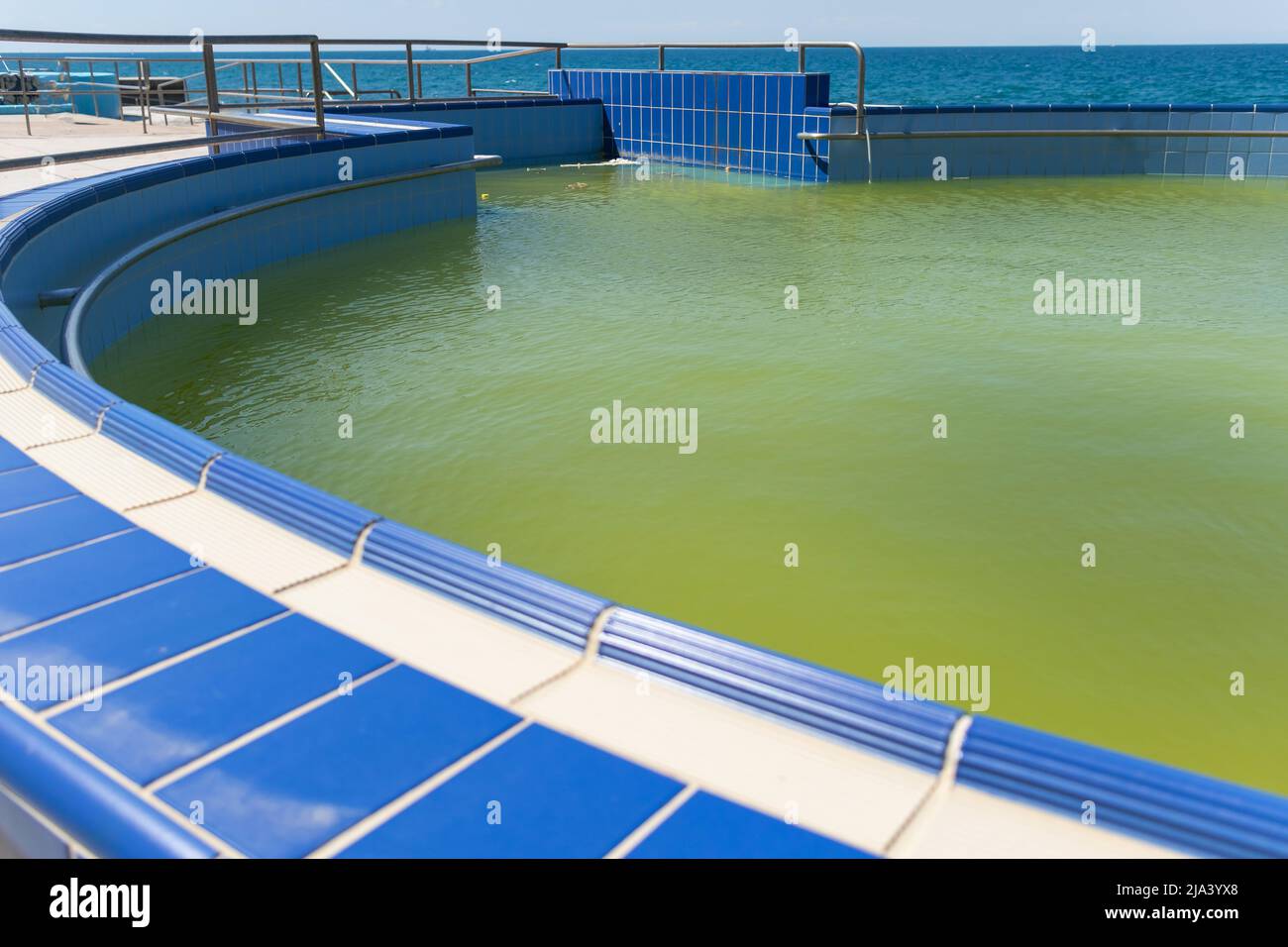 Abandoned swimming pool with dirty green algae water Stock Photo - Alamy