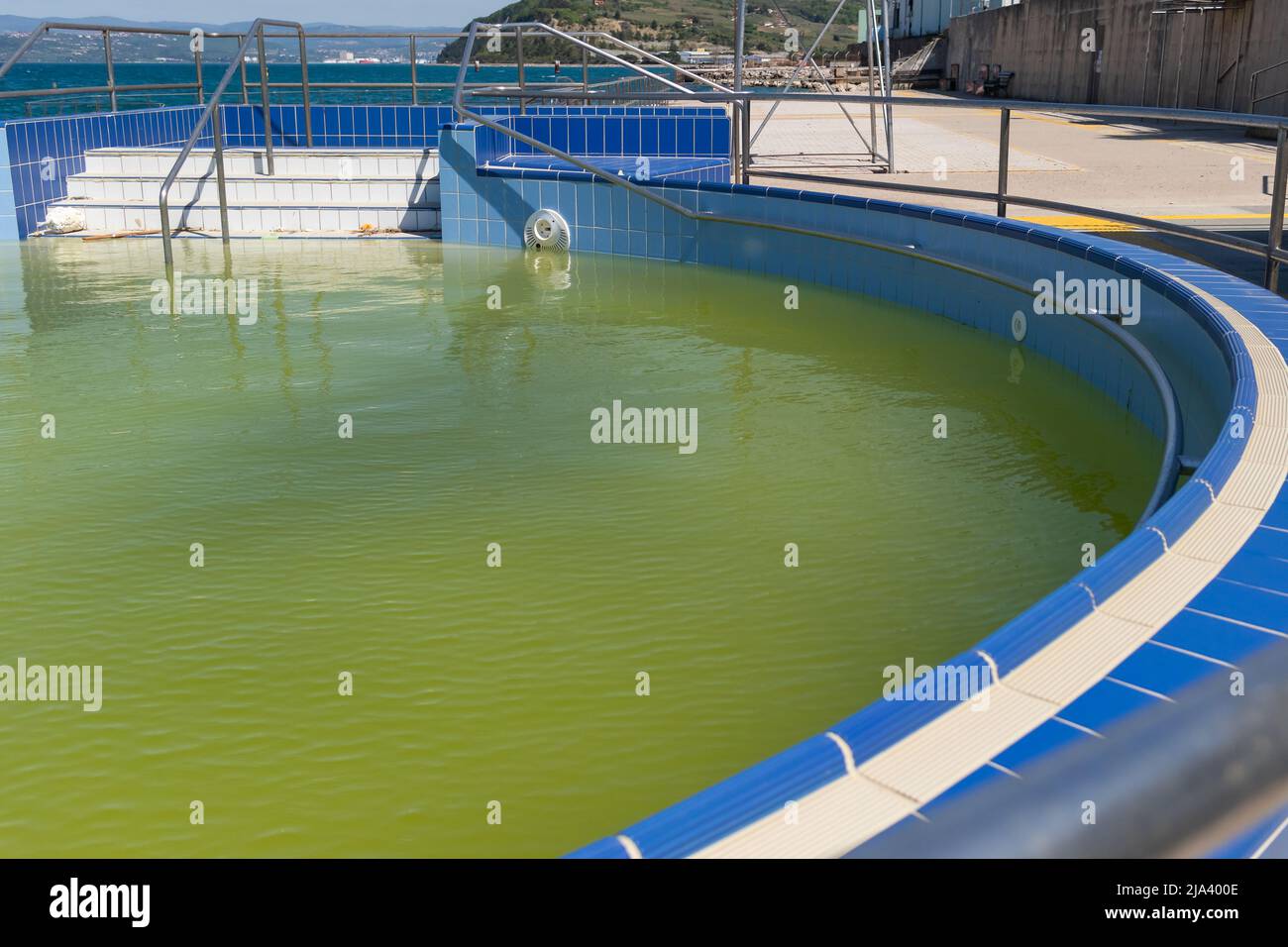 Abandoned swimming pool with dirty green algae water Stock Photo - Alamy