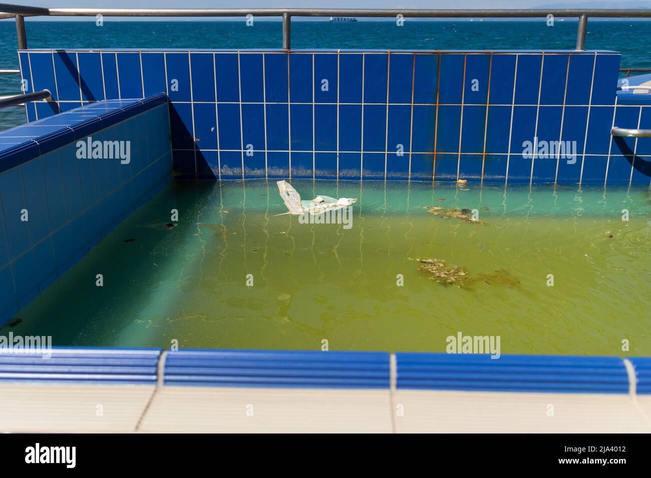 Abandoned swimming pool with dirty green algae water Stock Photo - Alamy