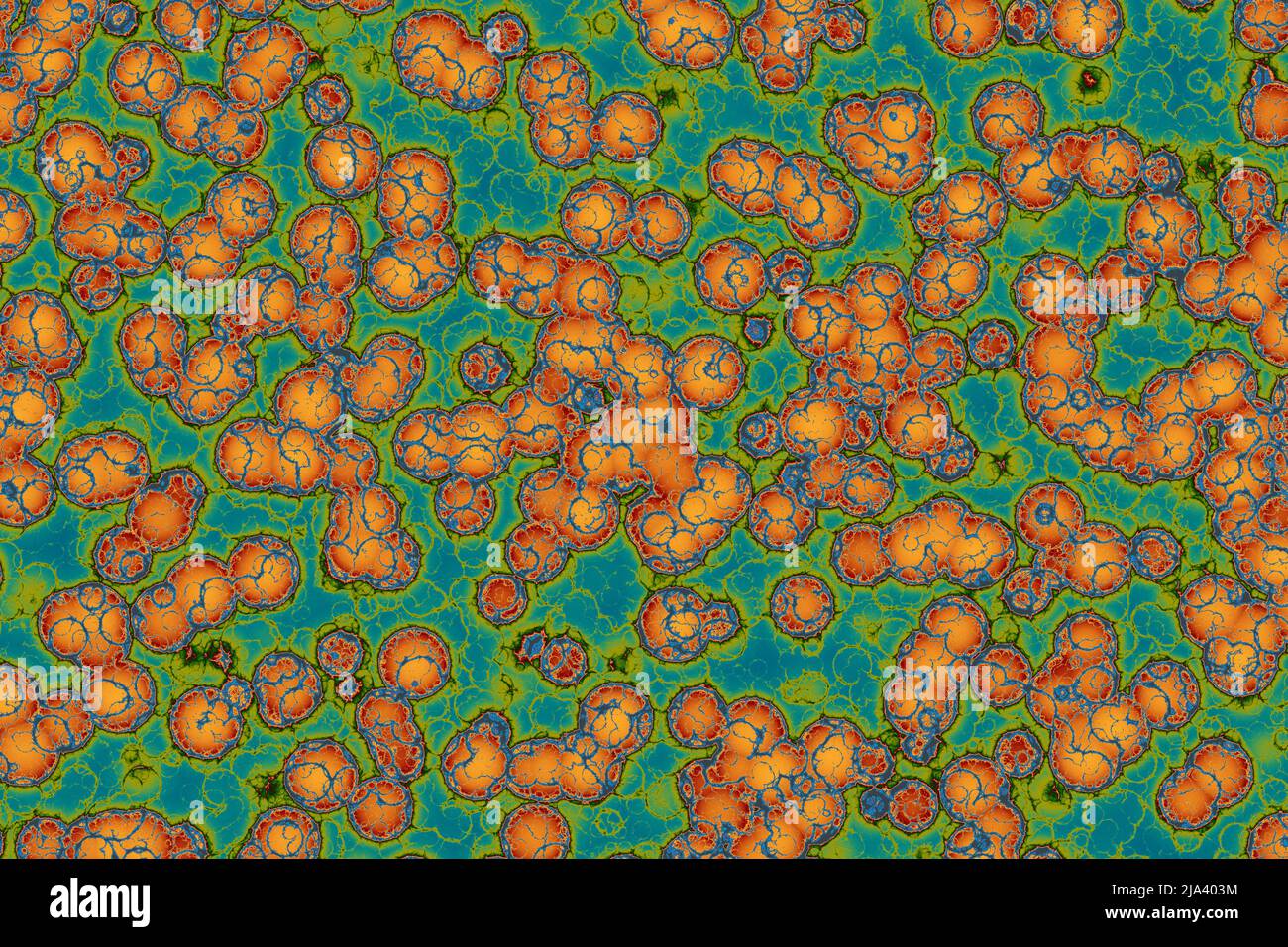 Fake microorganisms. microbiology. Bacteria, cells, viruses, germs ...