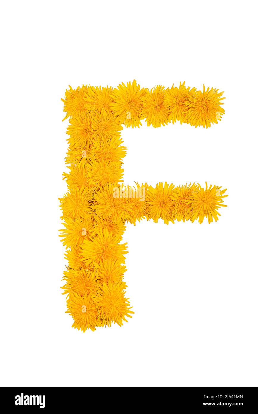 the English alphabet of dandelion flowers. Letter F Stock Photo - Alamy