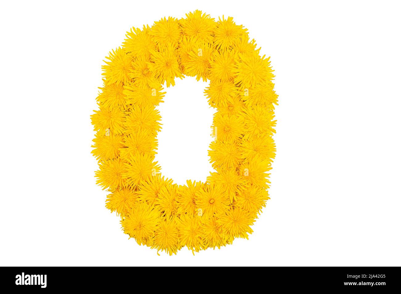 The English alphabet of dandelion flowers. Letter O Stock Photo - Alamy