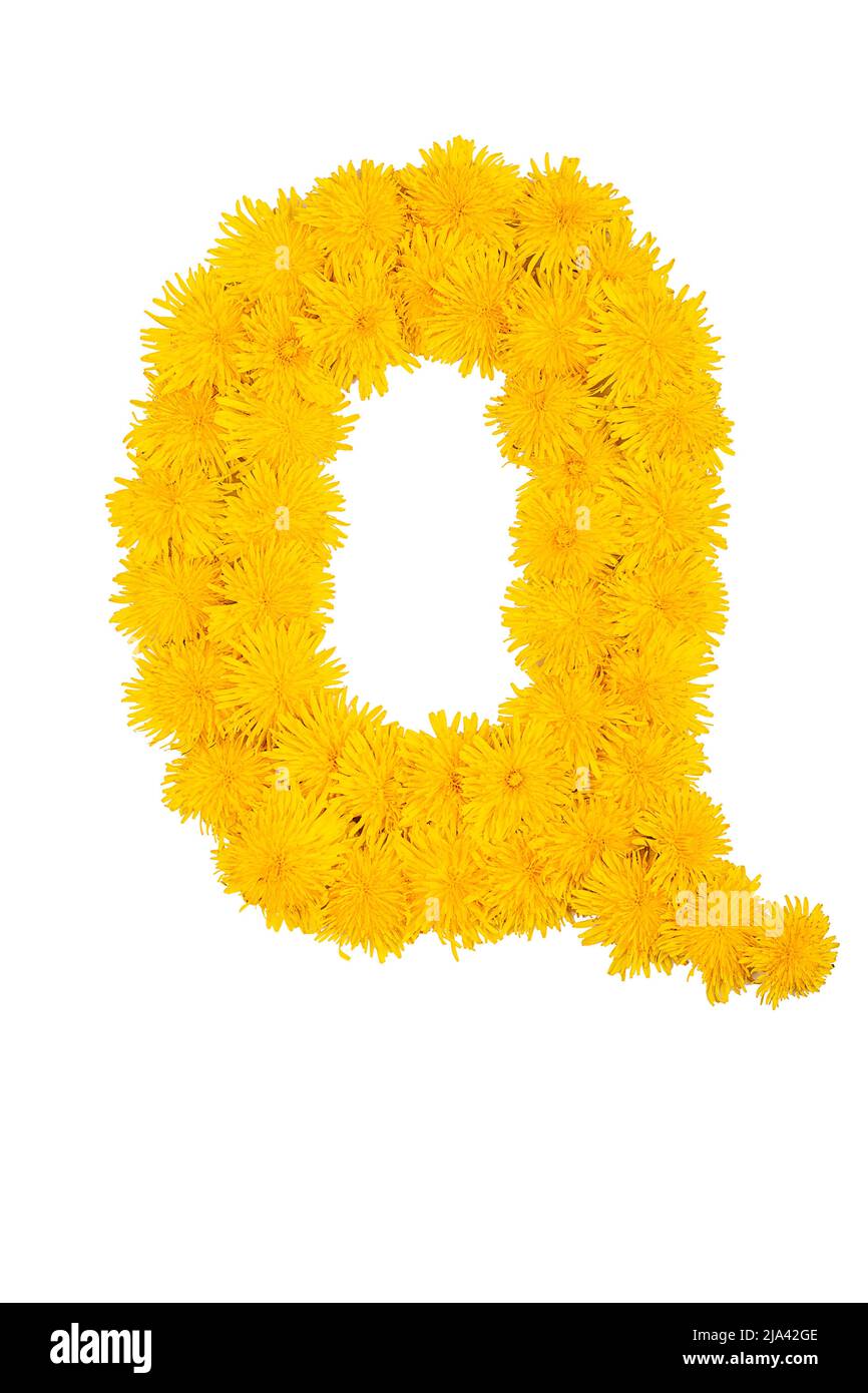 The English alphabet of dandelion flowers. Letter Q Stock Photo - Alamy