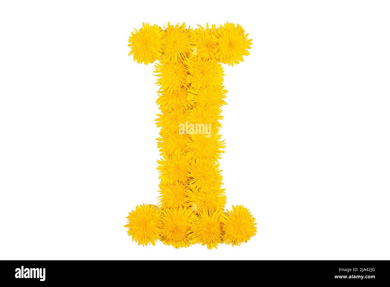 The English alphabet of dandelion flowers. Letter I Stock Photo - Alamy