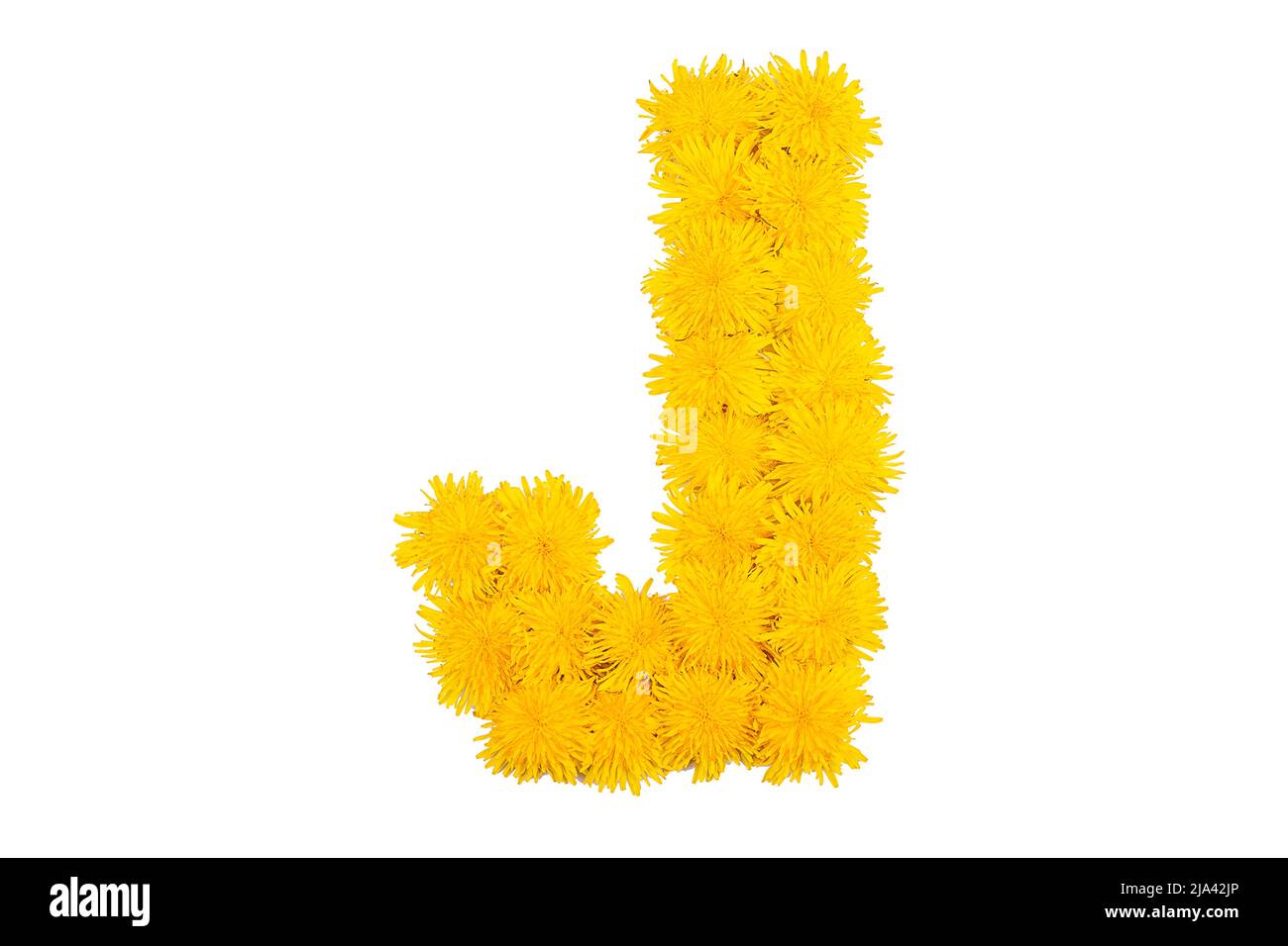The English alphabet of dandelion flowers. Letter J Stock Photo - Alamy