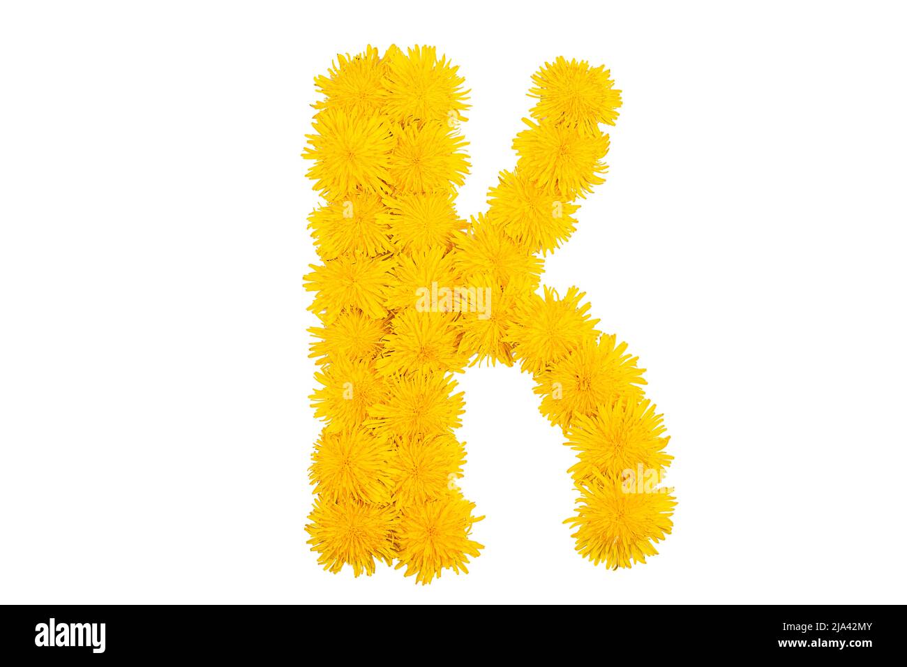 The English alphabet of dandelion flowers. Letter K Stock Photo - Alamy