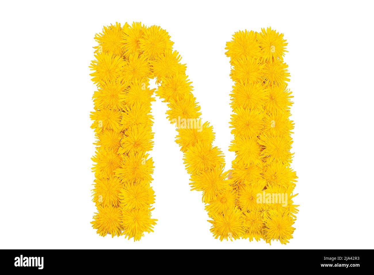 The English alphabet of dandelion flowers. Letter N Stock Photo - Alamy