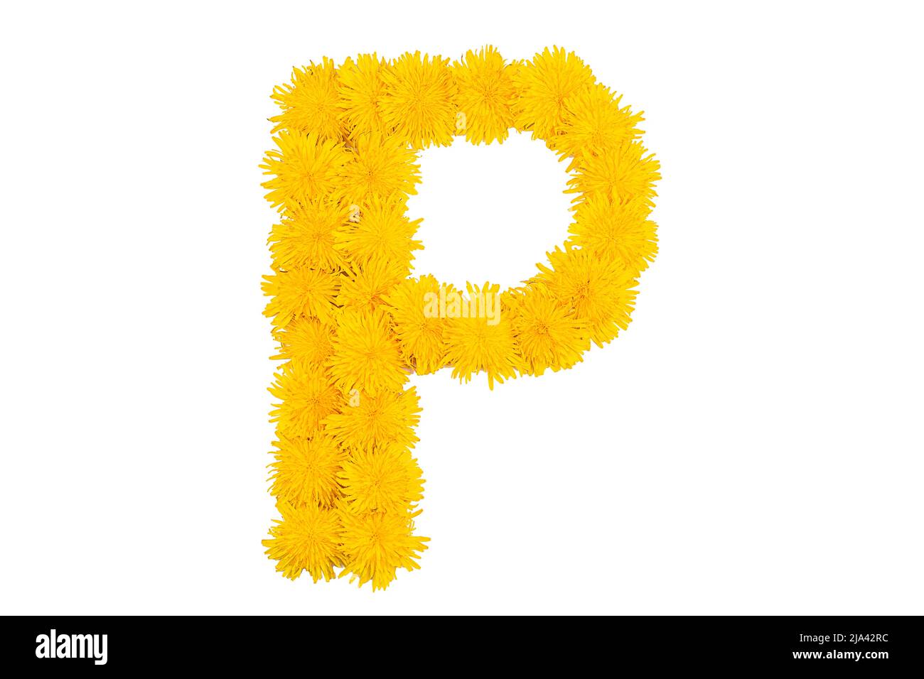 The English alphabet of dandelion flowers. Letter P Stock Photo - Alamy