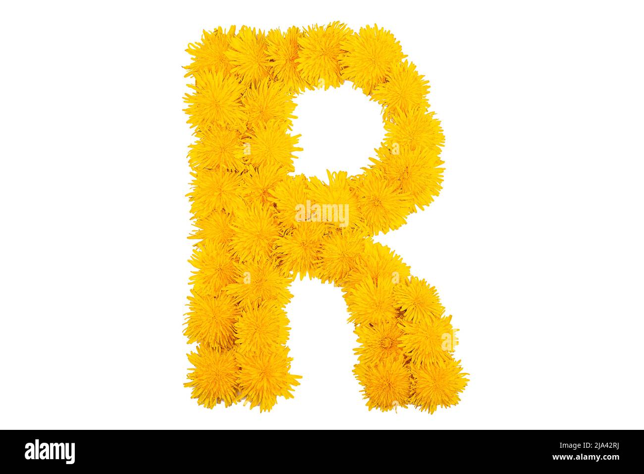 Letter r flowers hi-res stock photography and images - Alamy
