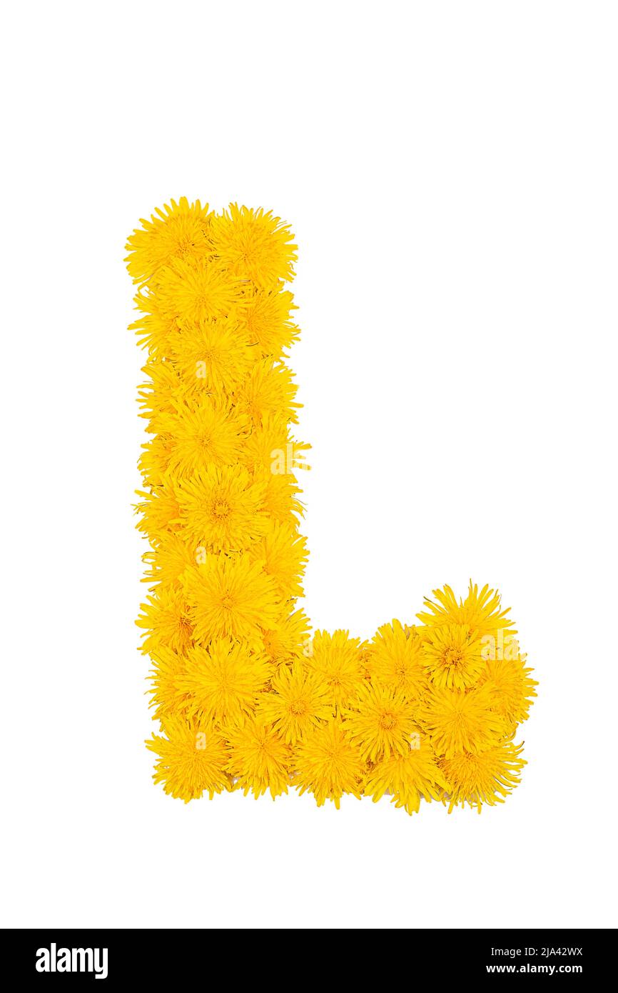 The English alphabet of dandelion flowers. Letter L Stock Photo - Alamy