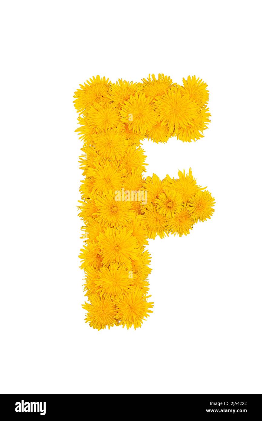 The English alphabet of dandelion flowers. Letter F Stock Photo - Alamy