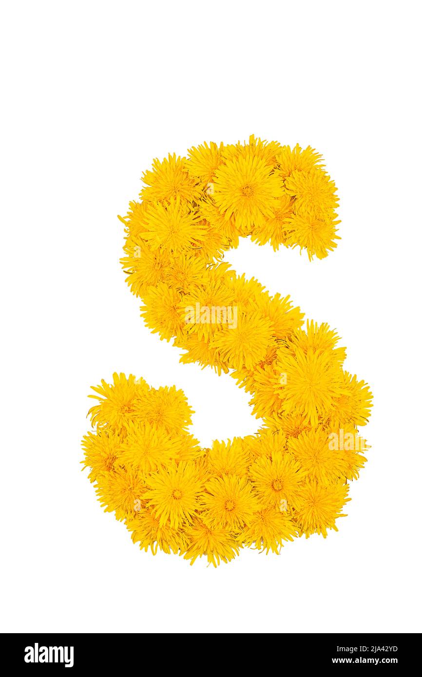 The English alphabet of dandelion flowers. Letter S Stock Photo - Alamy