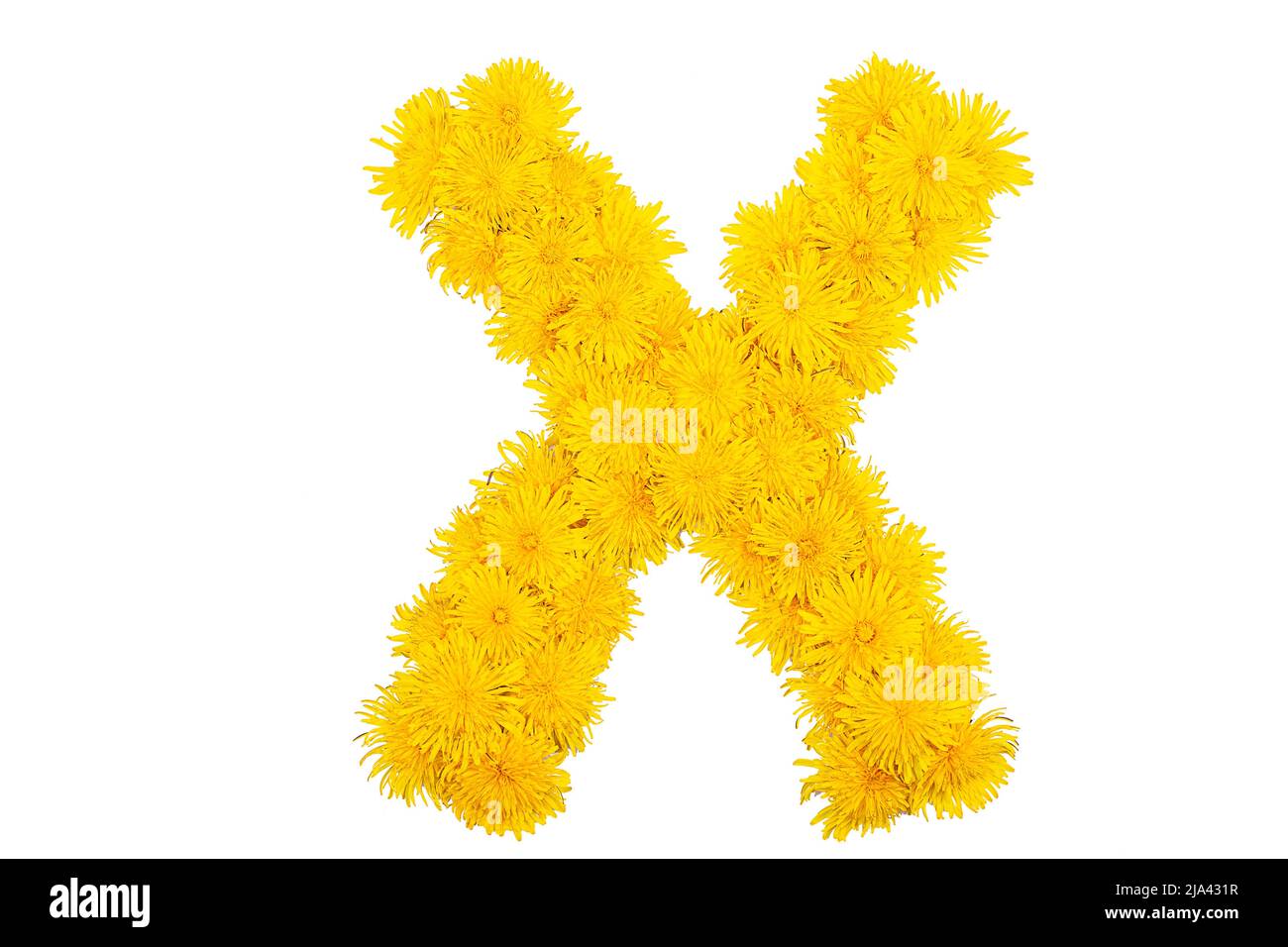The English alphabet of dandelion flowers. Letter X Stock Photo - Alamy