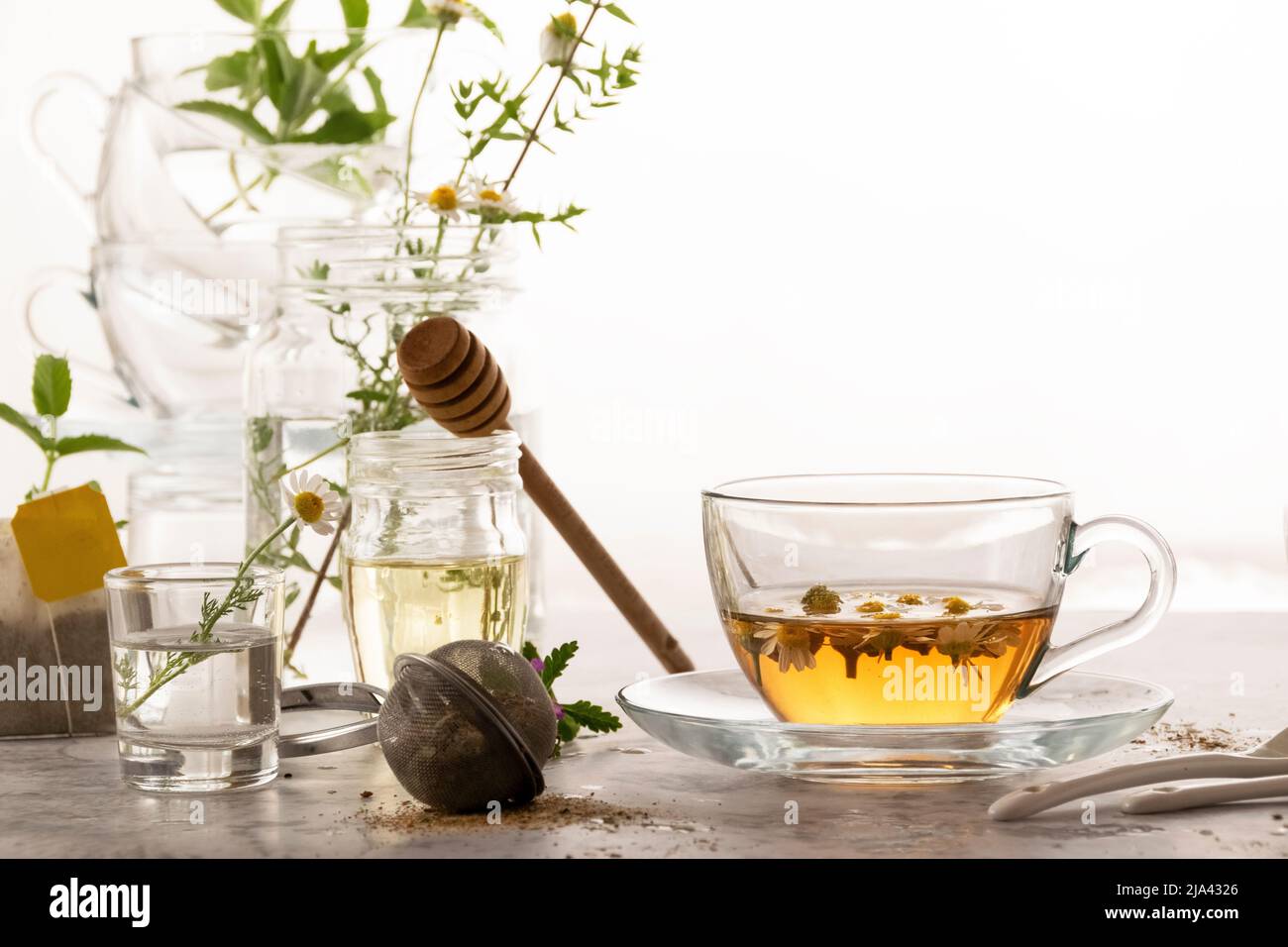 Botanical herbal tea, healthy beverage, organic ingredients Stock Photo ...