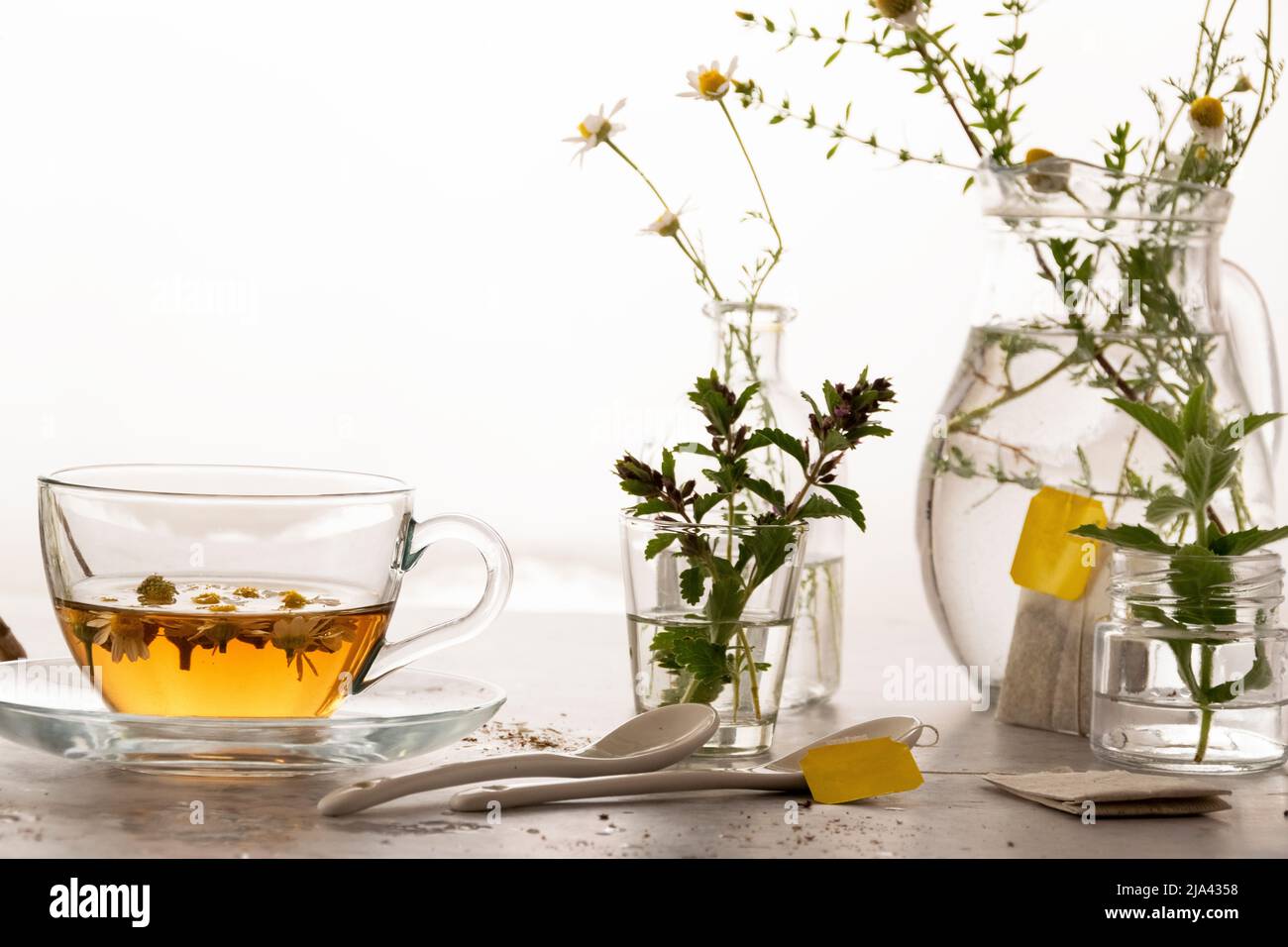 Botanical herbal tea, healthy beverage, organic ingredients Stock Photo ...