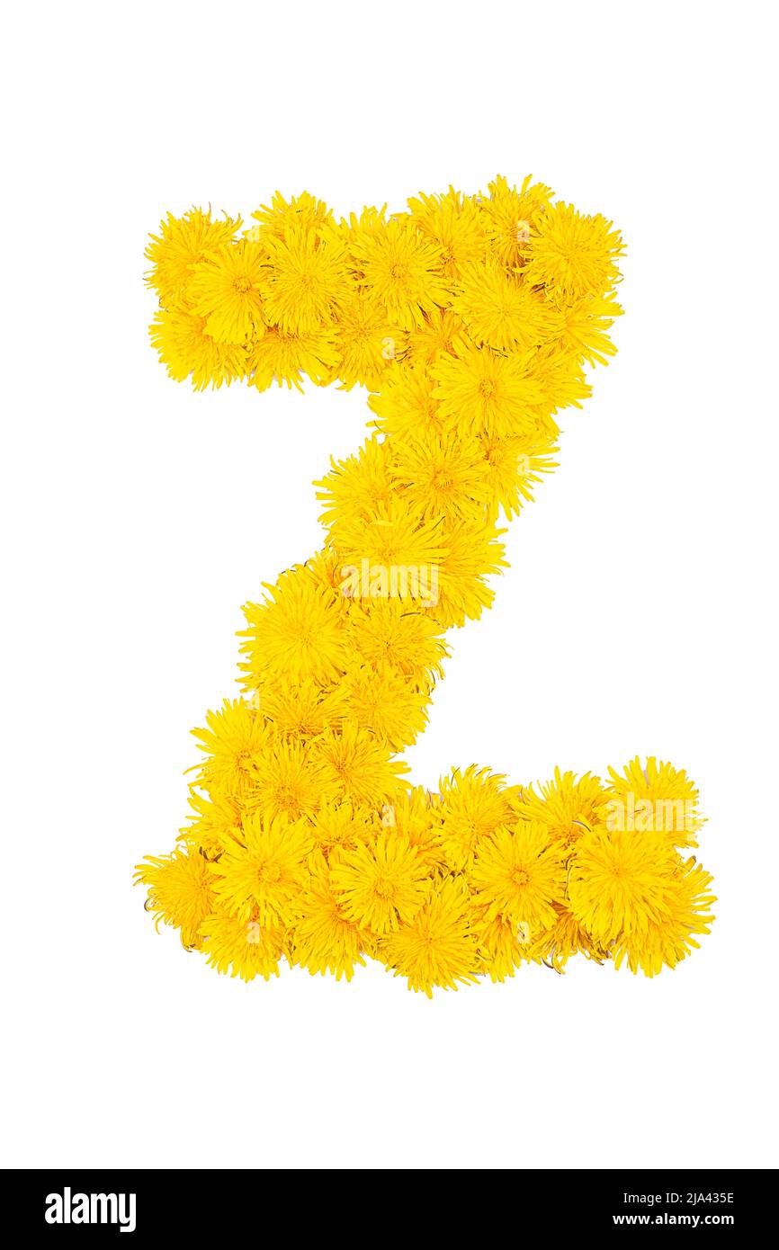 The English alphabet of dandelion flowers. Letter Z Stock Photo - Alamy