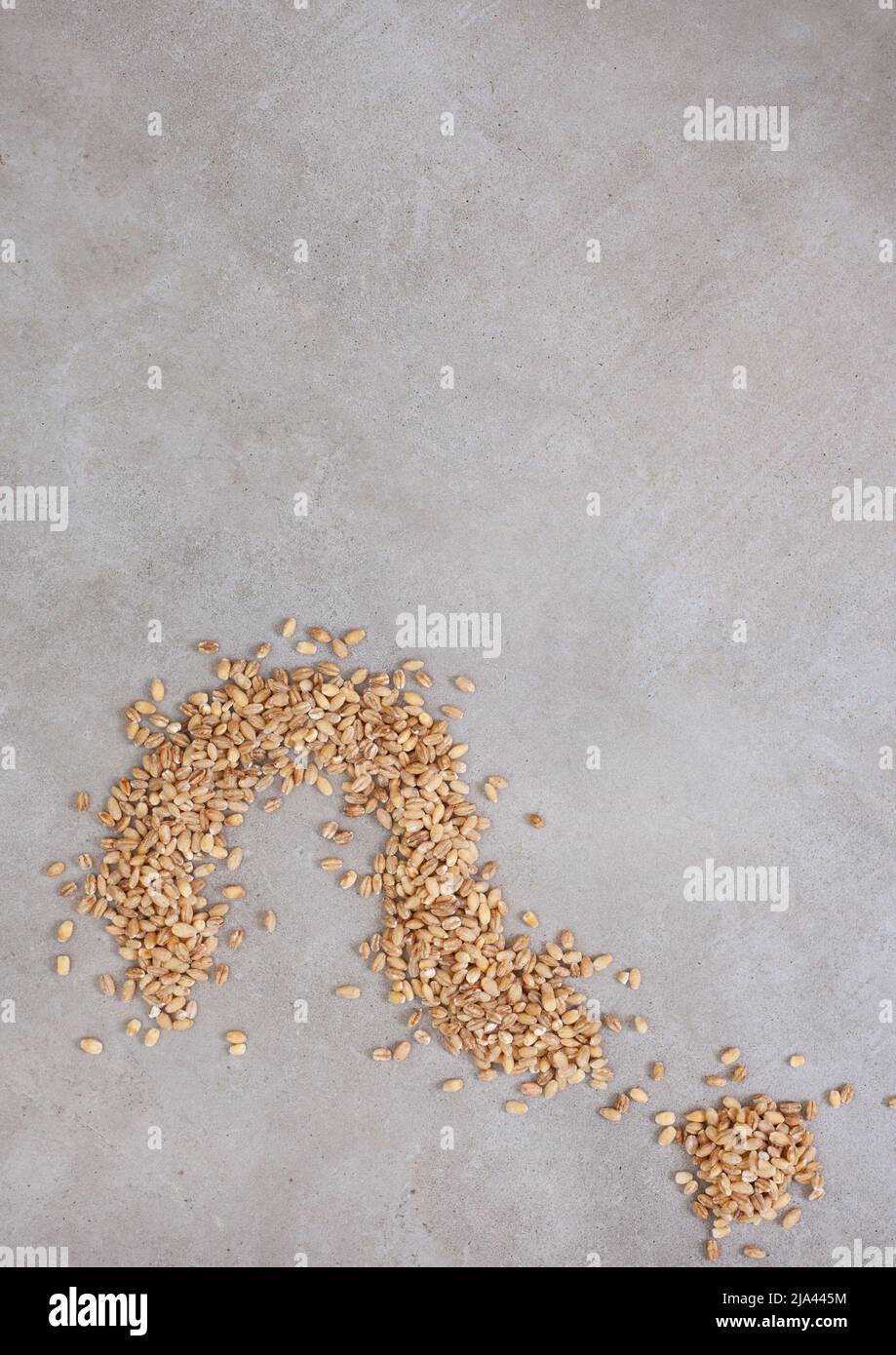 grain shortage and food security, a world in crisis during war between ...