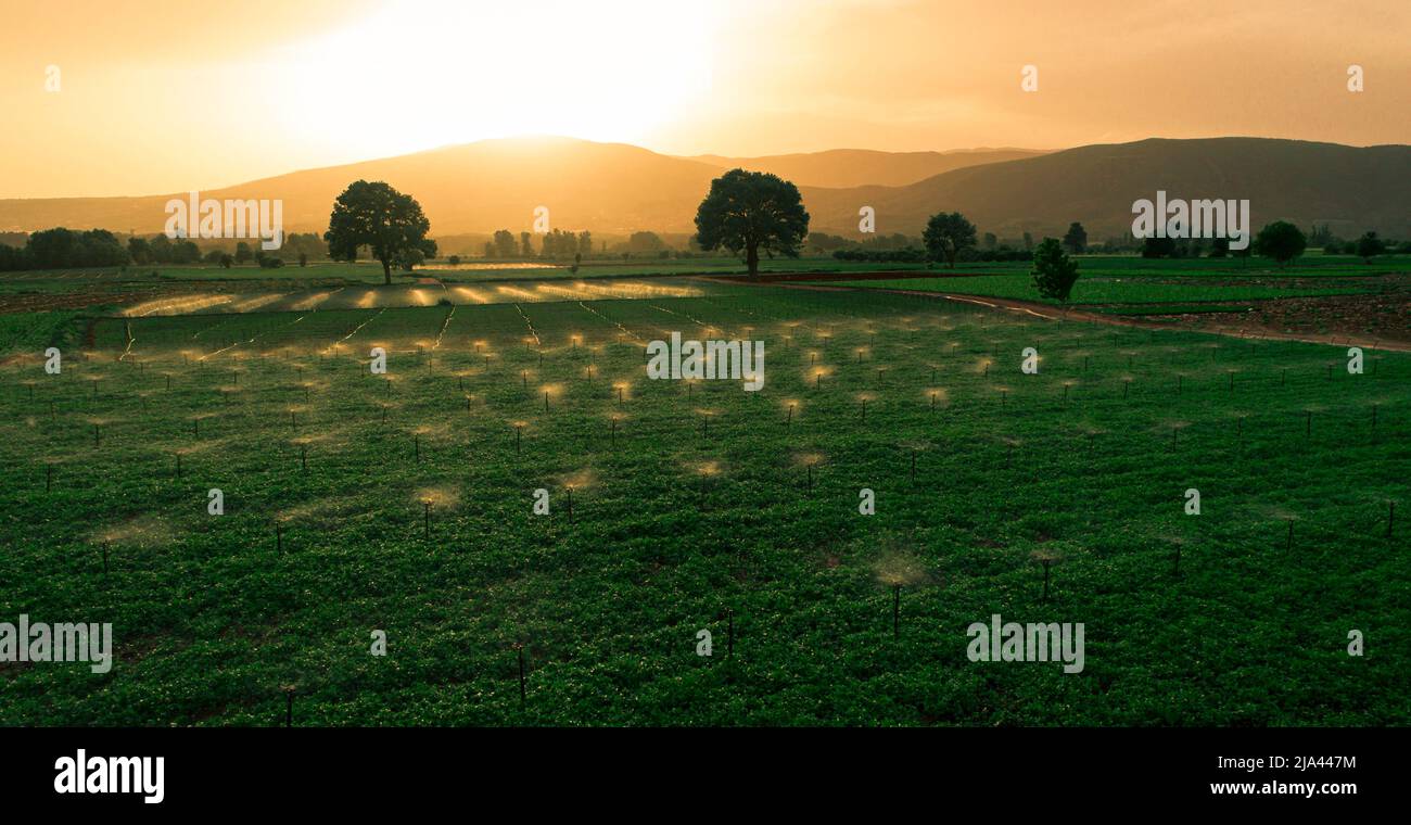 A cloudy sky and a beautifully colored field and sunset Stock Photo - Alamy
